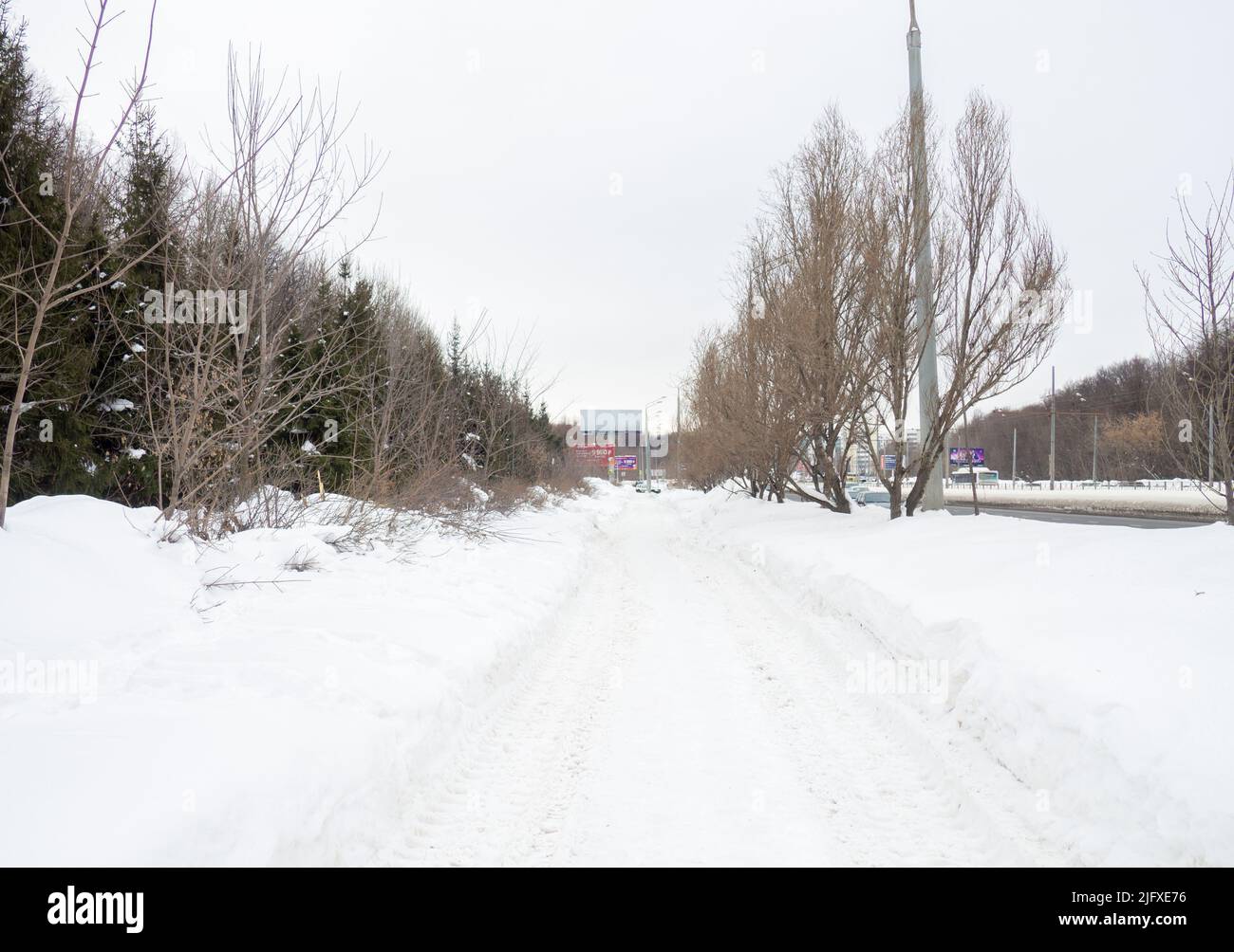 Winter day. Trees under the snow. Nature in the city. Urban environment ...