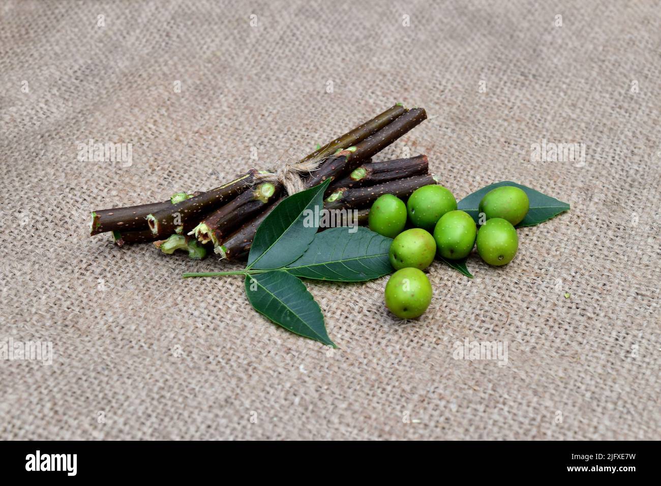 Neem leaves, branches, fruits on jute fabric background. Margosa leaf ...
