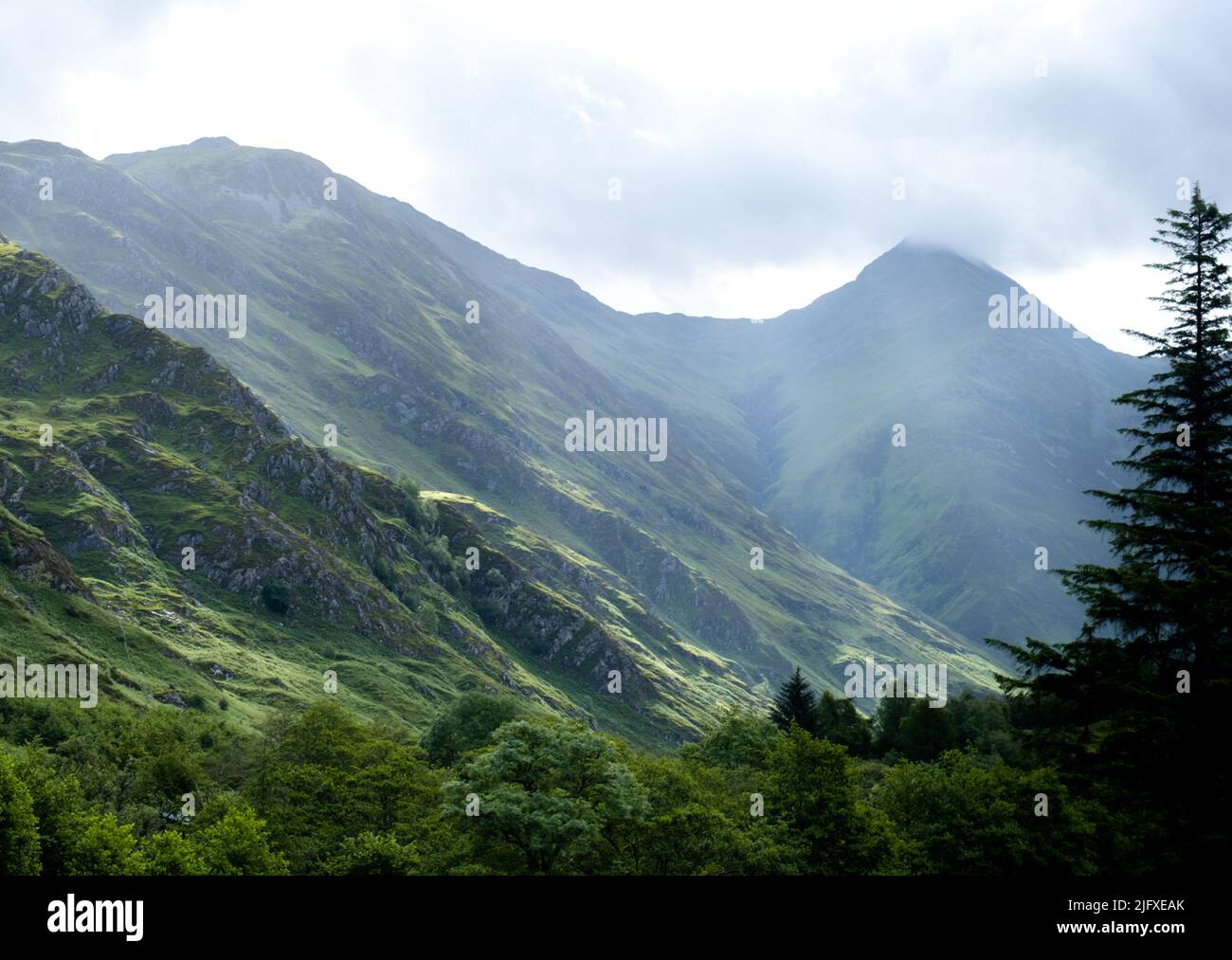Sgurr Fhuaran and the five sisters ridge in the morning sun, with ...
