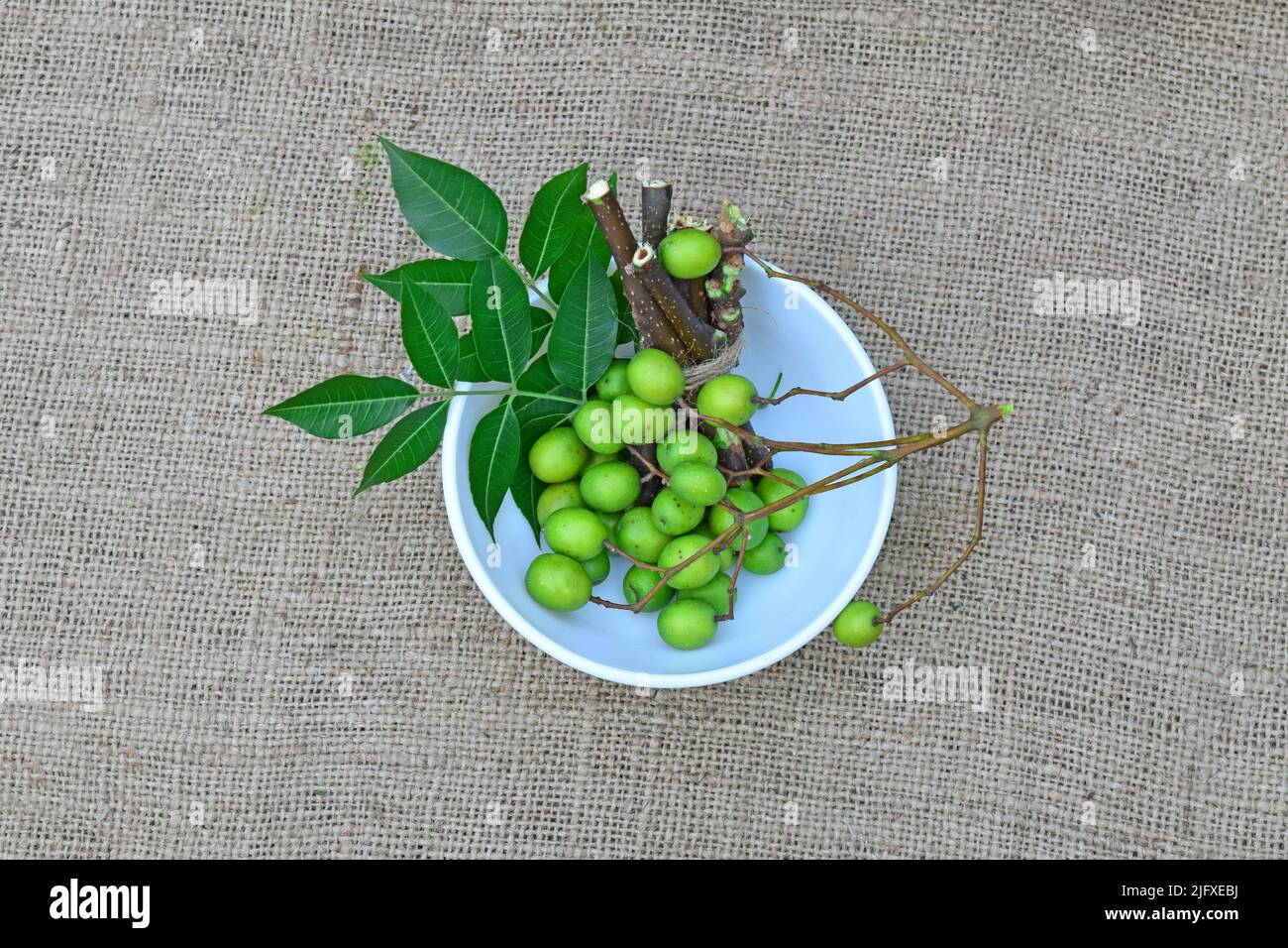 Neem leaves, fruits, and stems on bowl. Medicinal neem seeds, leaf ...