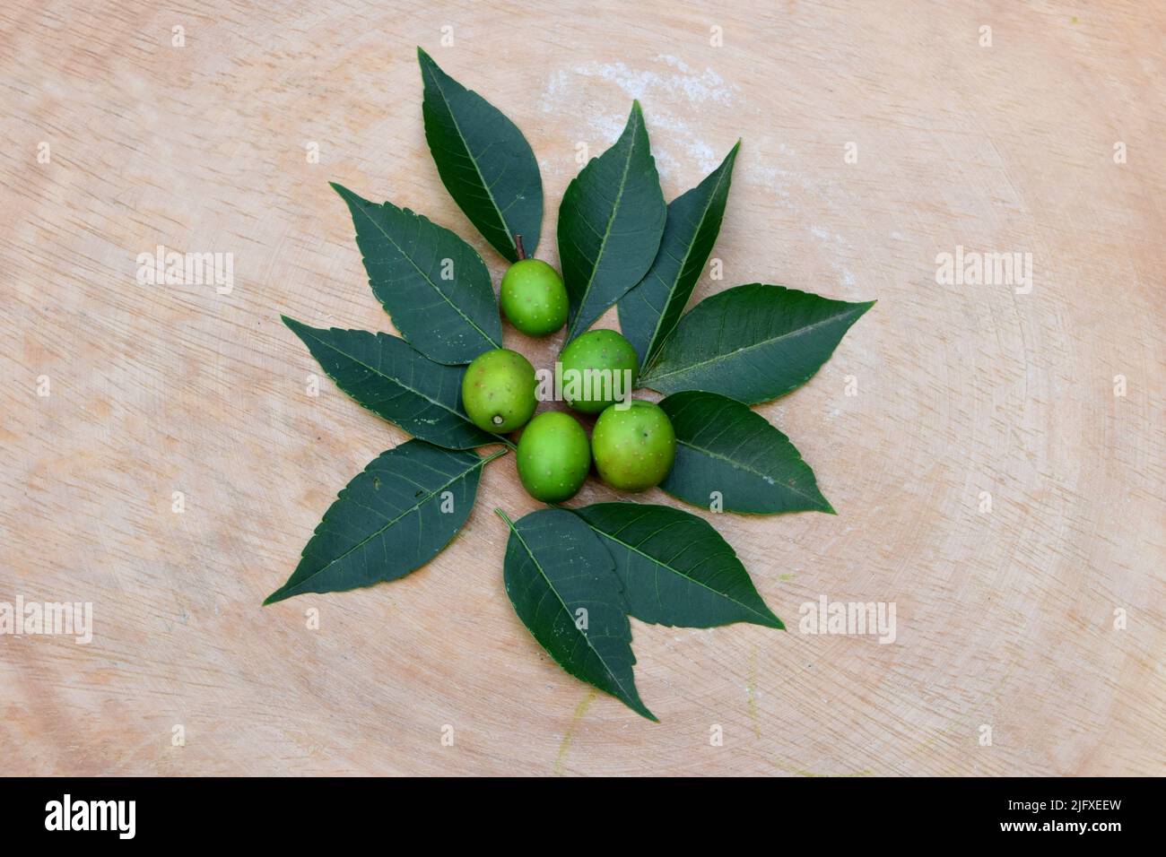 Medicinal herbs neem leaves, and fruits on wooden background. Neem ...