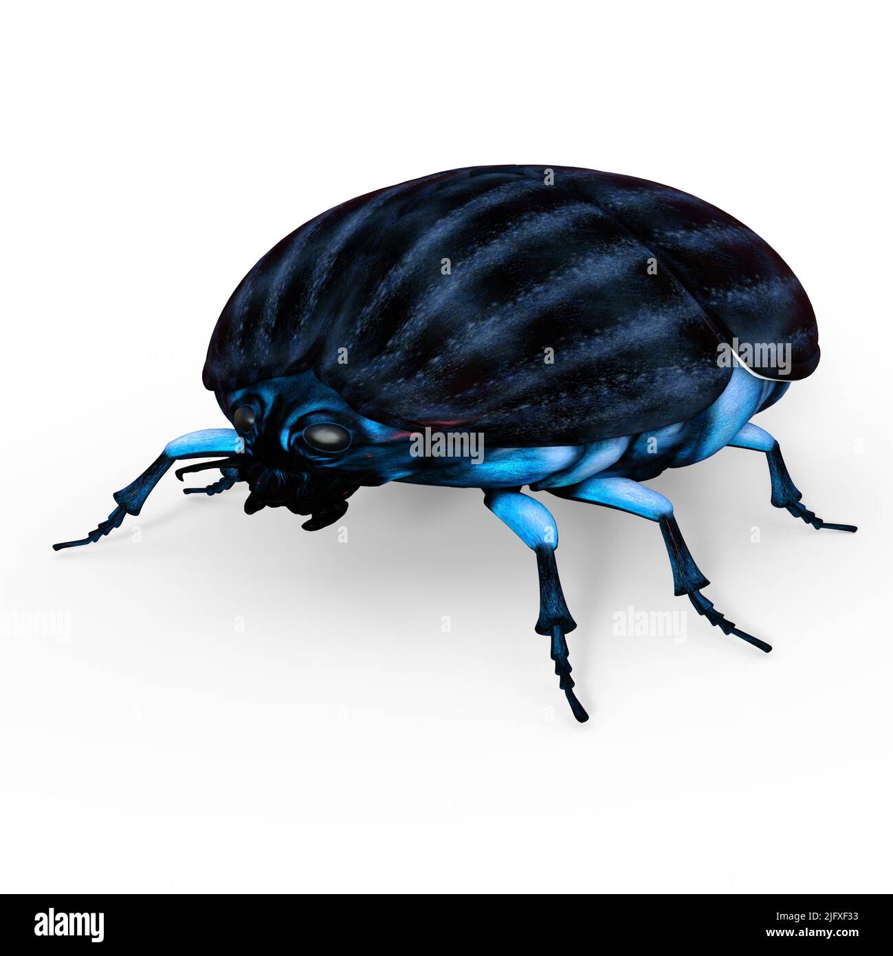 3d-illustration of an isolated animal insect scarabeus Stock Photo - Alamy