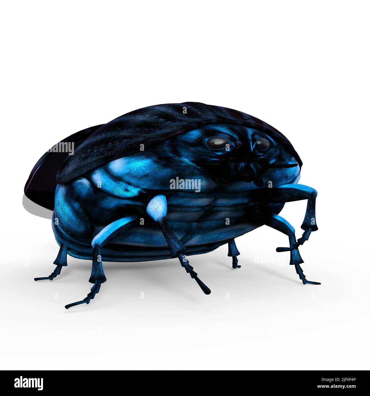3d-illustration of an isolated animal insect scarabeus Stock Photo - Alamy