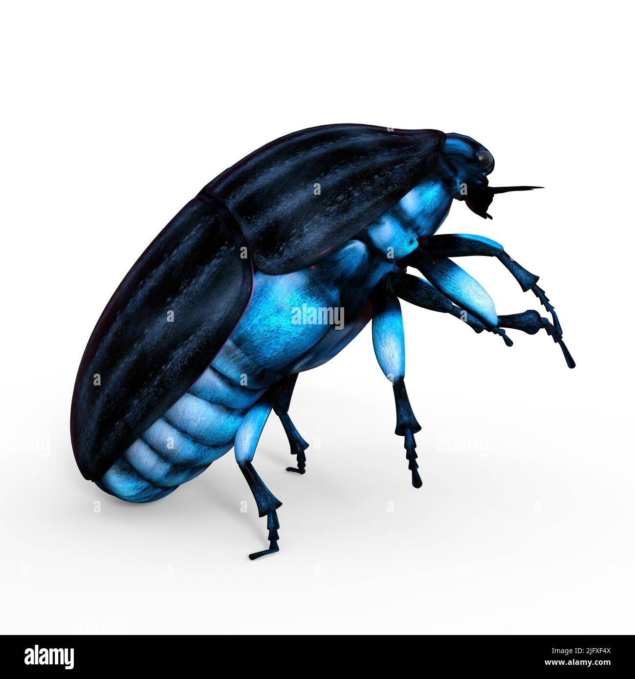 3d-illustration of an isolated animal insect scarabeus Stock Photo - Alamy