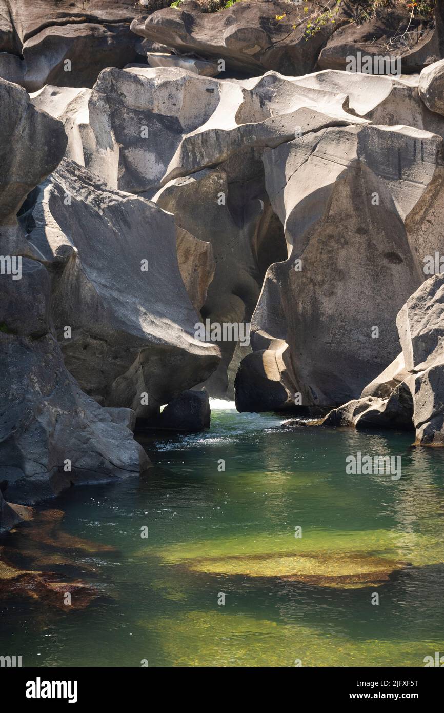 Cerrado landscape brazil hi-res stock photography and images - Alamy