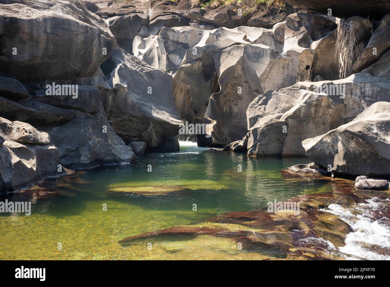Beautiful view to green pool on rocky cerrado river Stock Photo - Alamy