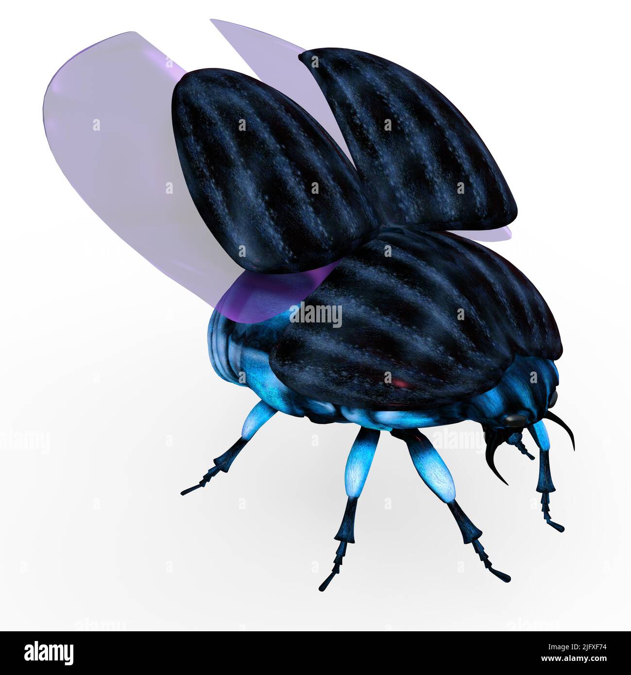 3d-illustration of an isolated animal insect scarabeus Stock Photo - Alamy