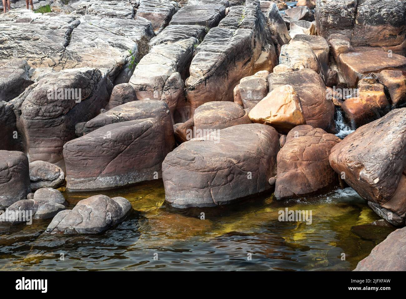 Parque do cerrado hi-res stock photography and images - Alamy
