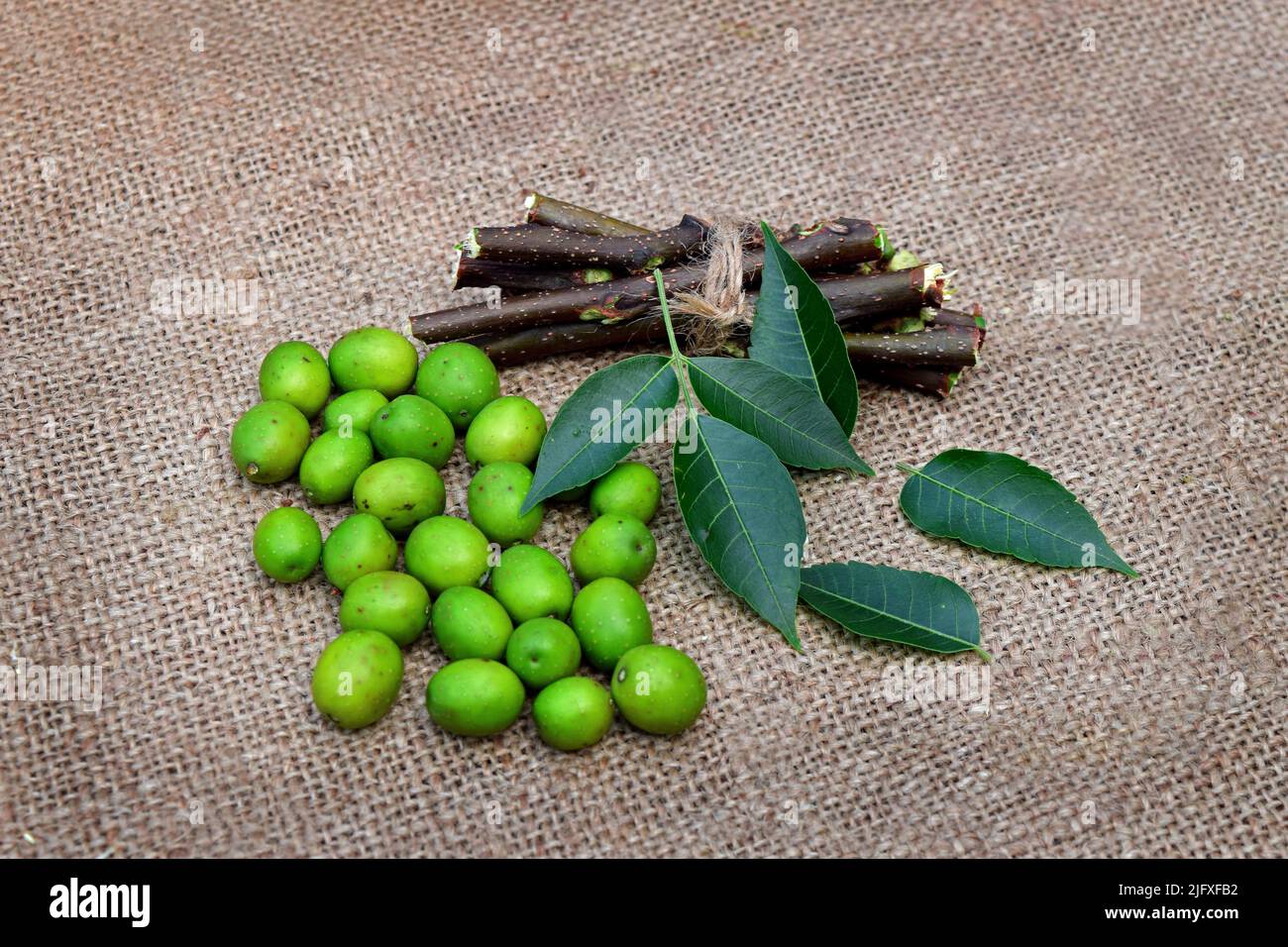 Medicinal neem leaves with fruits on jute fabric background Stock Photo ...