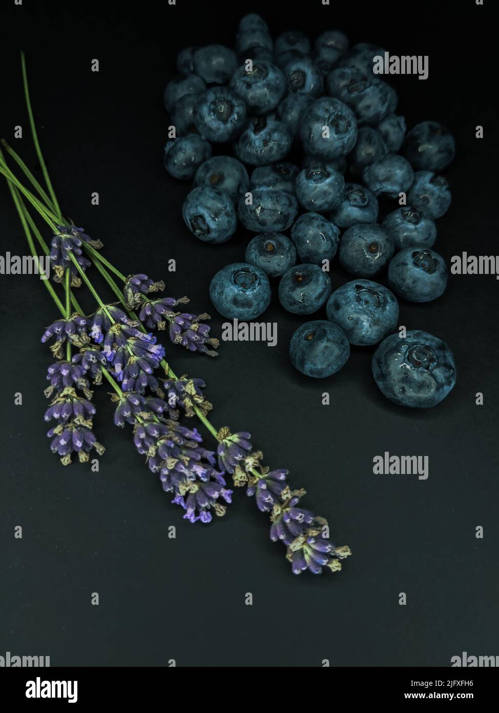 Dark lavender hi-res stock photography and images - Alamy