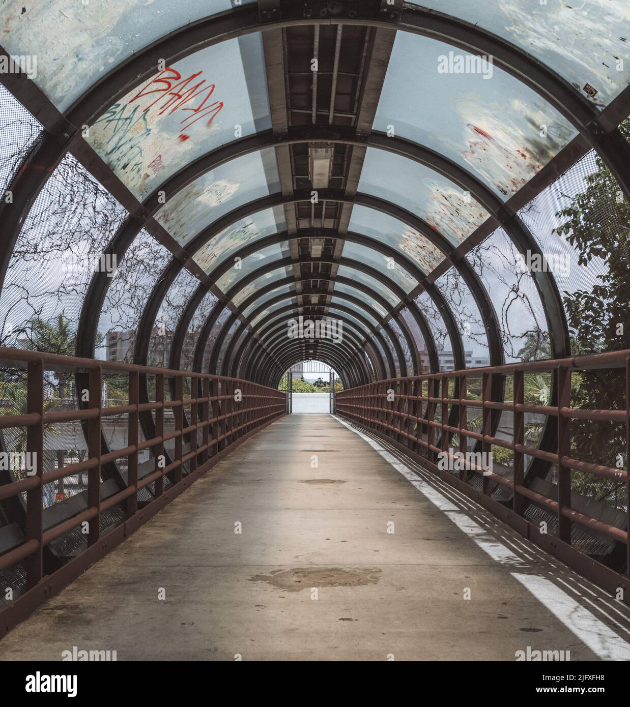 bridge in the park miami usa florida Stock Photo - Alamy