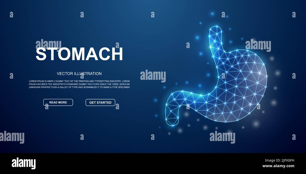 Stomach 3d low poly symbol with connected dots for blue landing page ...