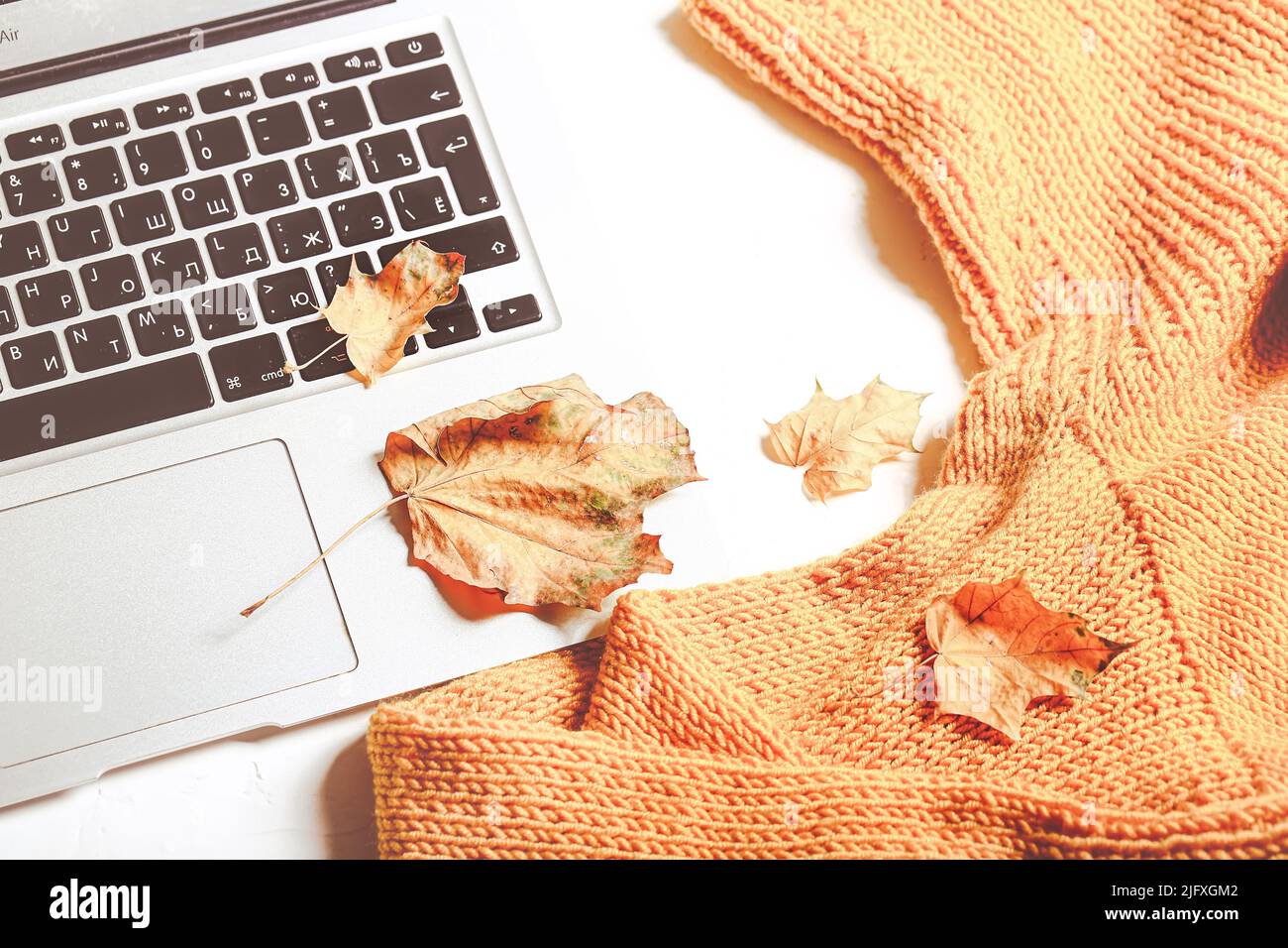 Autumn creative work composition. Laptop keyboard and autumn leaf Stock ...