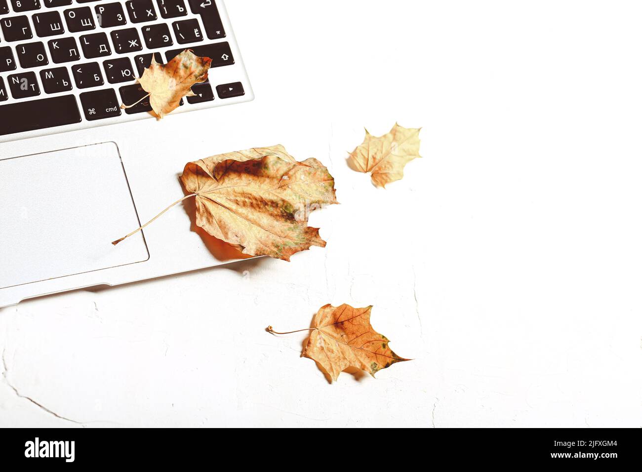 Autumn creative work composition. Laptop keyboard and autumn leaf Stock ...
