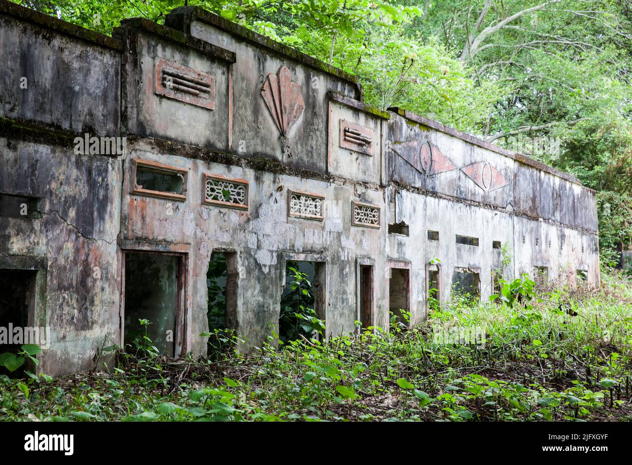 Remains of the destroyed houses of the Armero Town covered by trees and ...