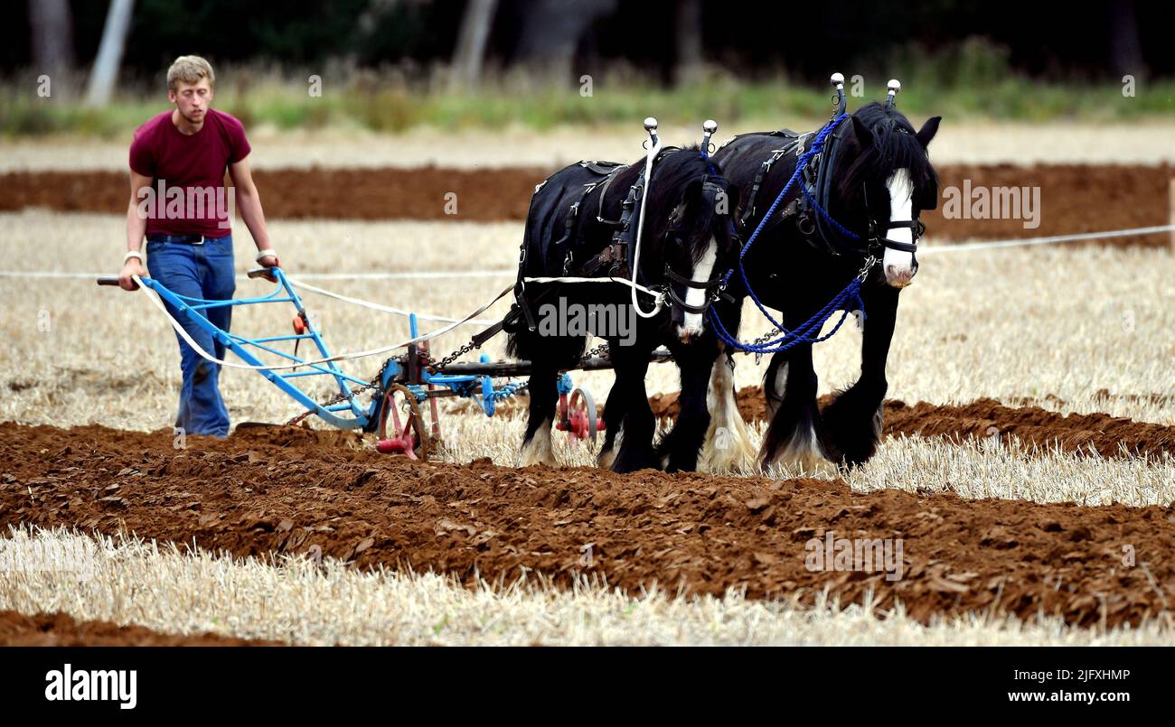 Hatford hi-res stock photography and images - Alamy