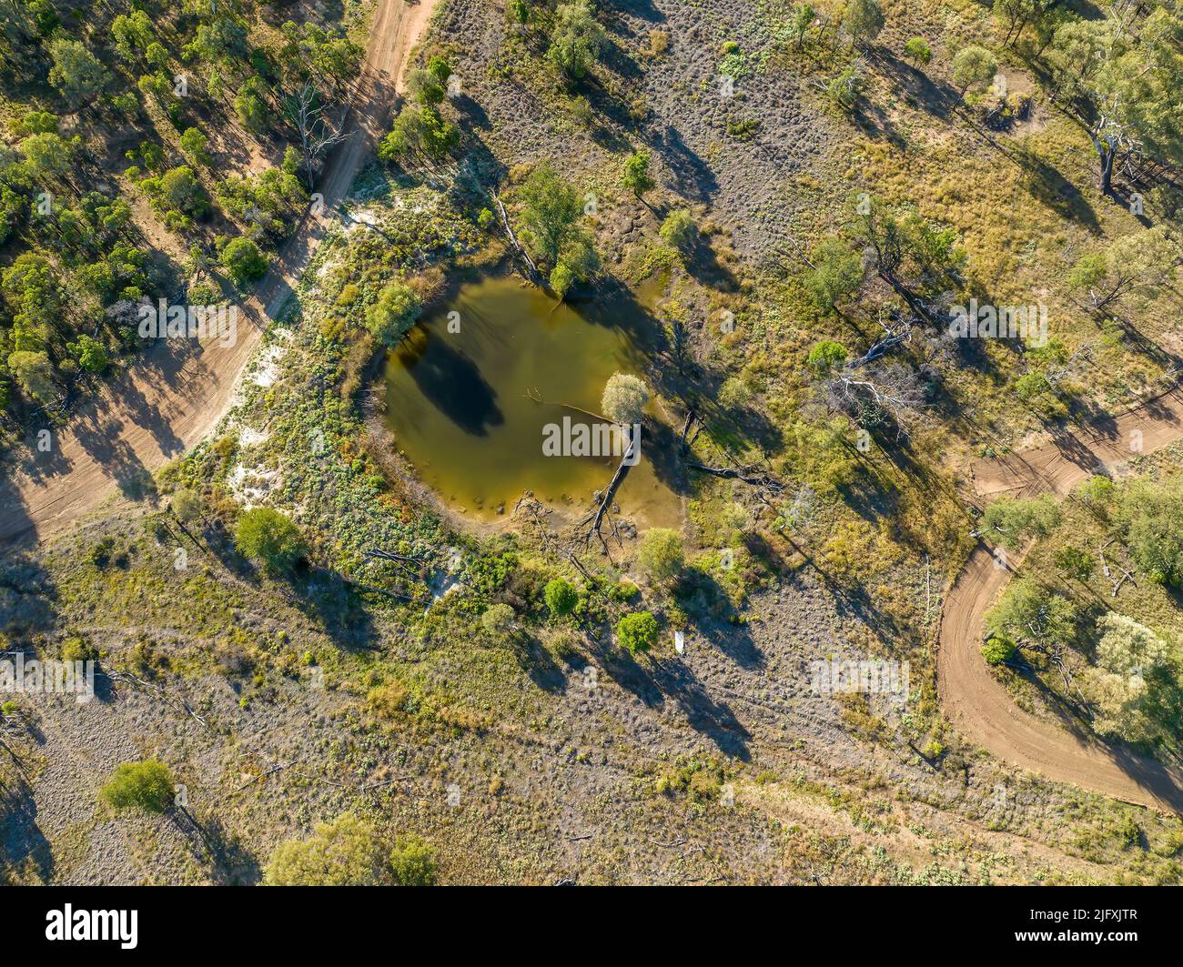 Looking down over a pool of swampy water within the Sapphire Wetlands ...