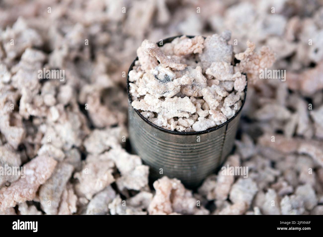 Landang, comes from Buli or Buri Tree, a type of palm found in the ...