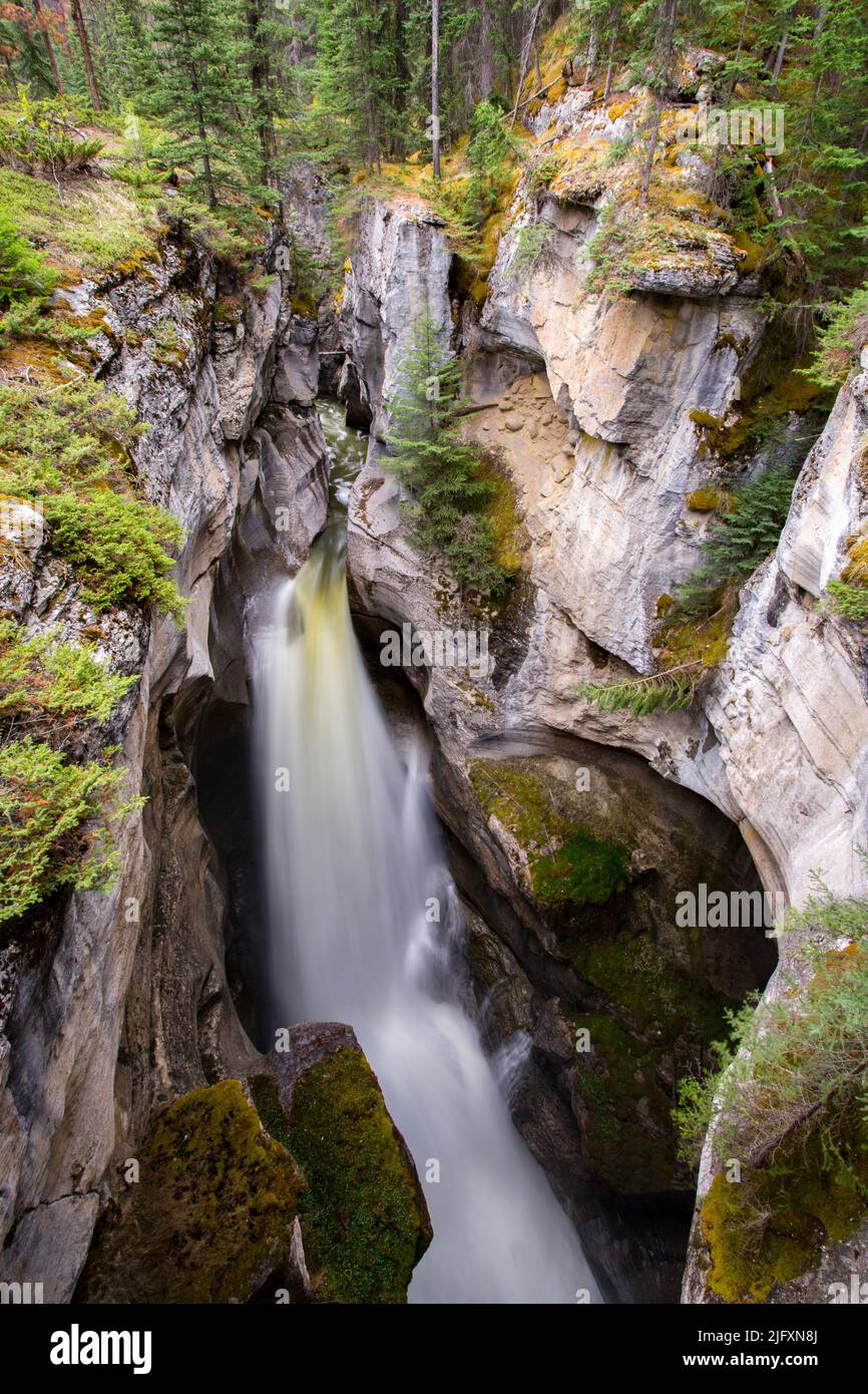 Maligne Canyon is a natural feature located in the Jasper National Park ...