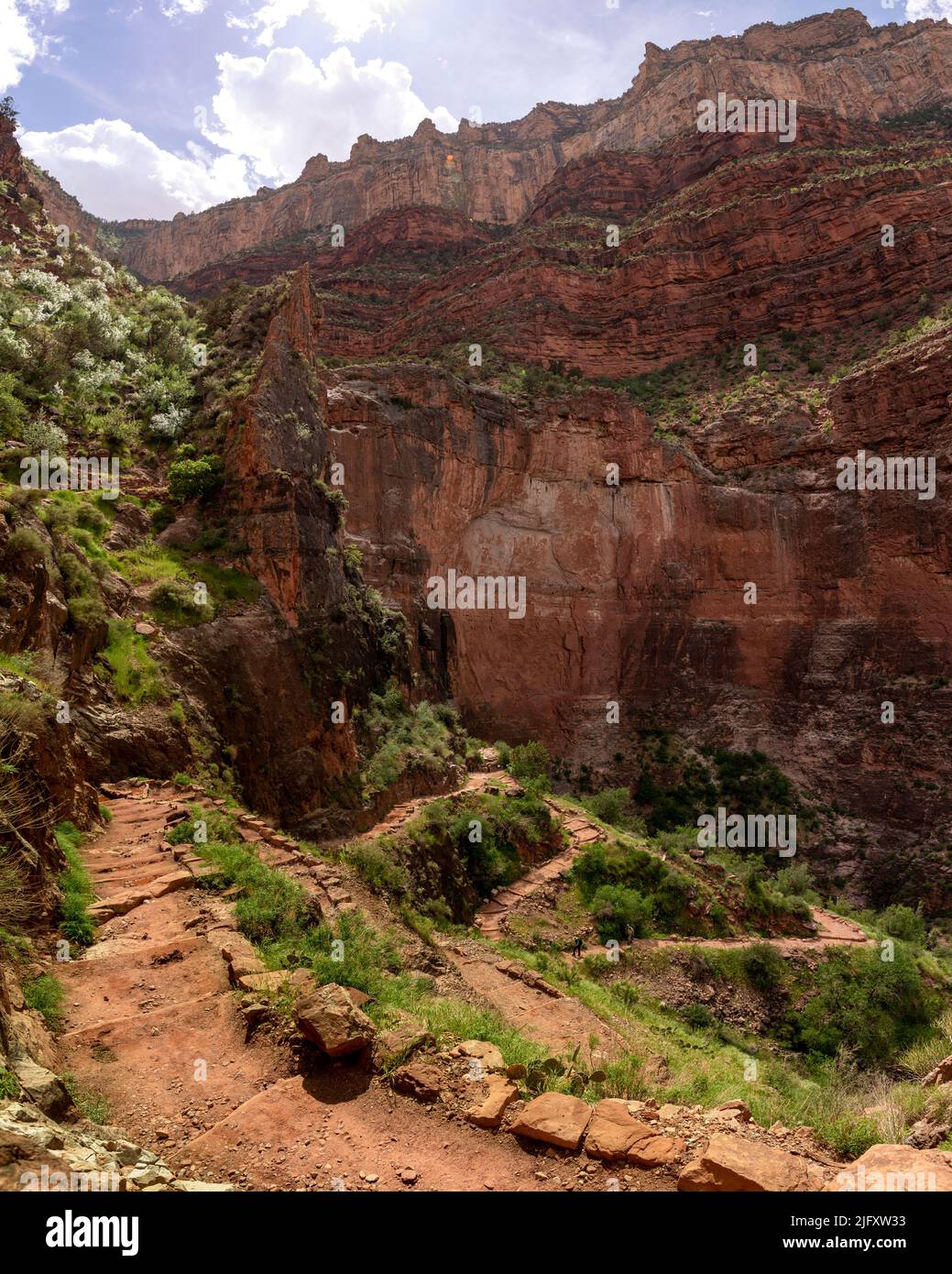 Landscape views inside the Grand Canyon during summer Stock Photo - Alamy
