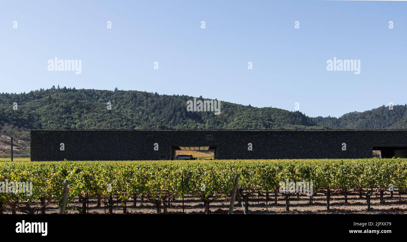 Dominus Winery in California USA by Herzog de Meuron Stock Photo - Alamy