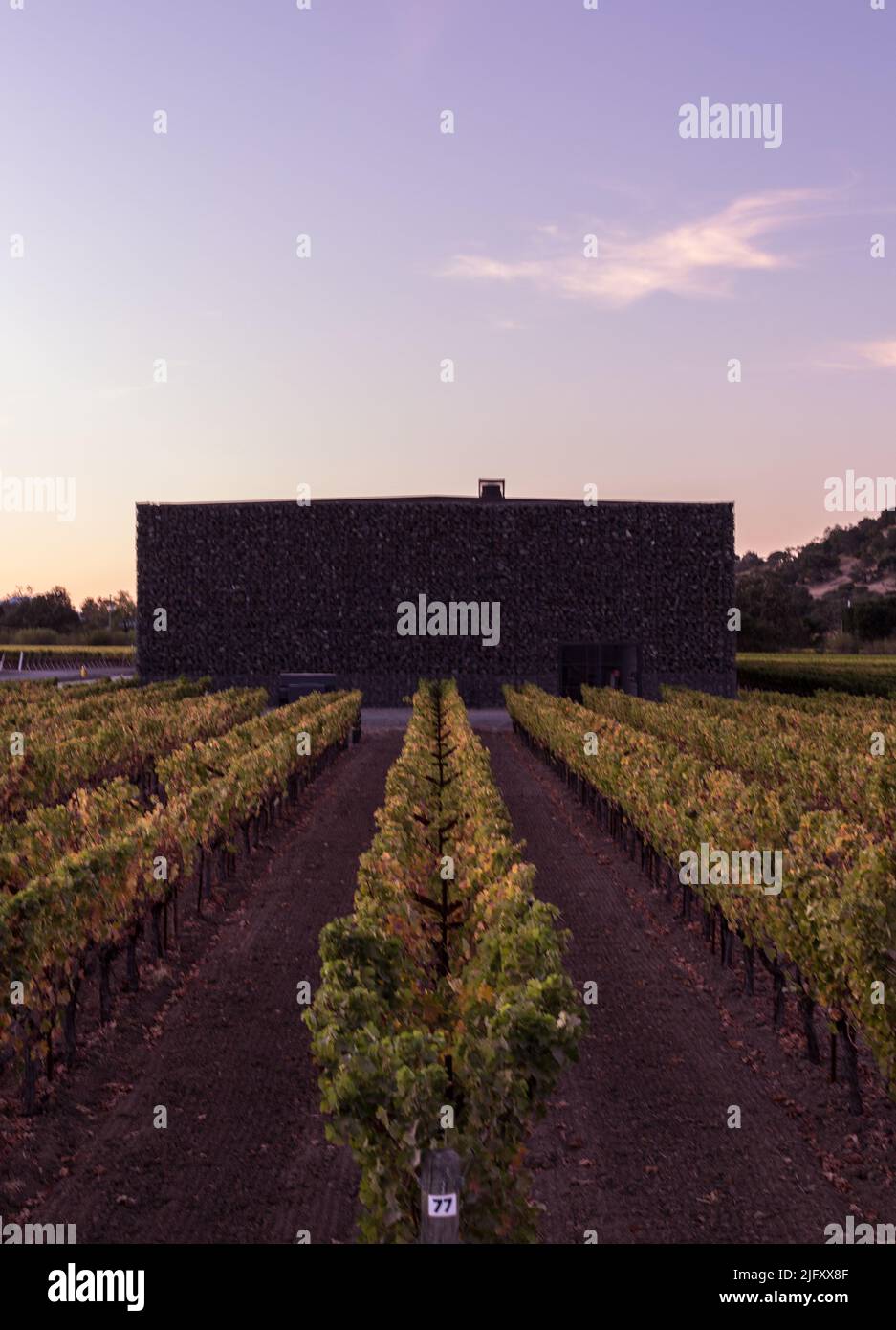 Dominus Winery in California USA by Herzog de Meuron Stock Photo - Alamy