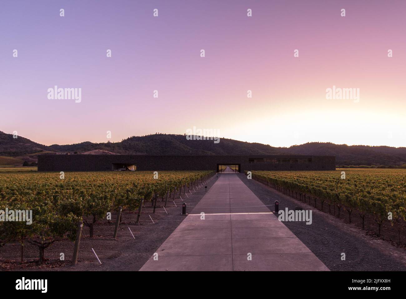 Dominus Winery in California USA by Herzog de Meuron Stock Photo - Alamy