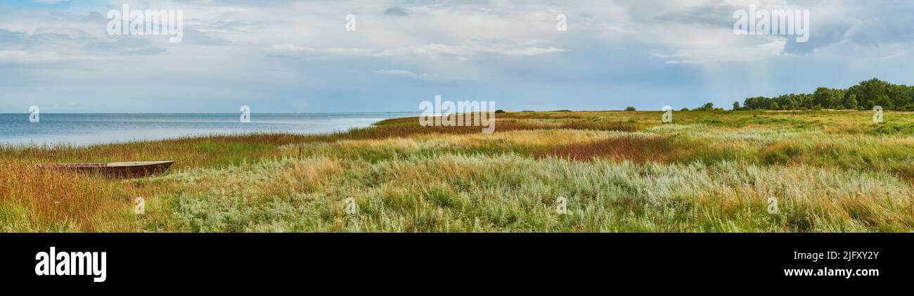 Beautiful scenic landscape view of lush green grassy meadow with white ...