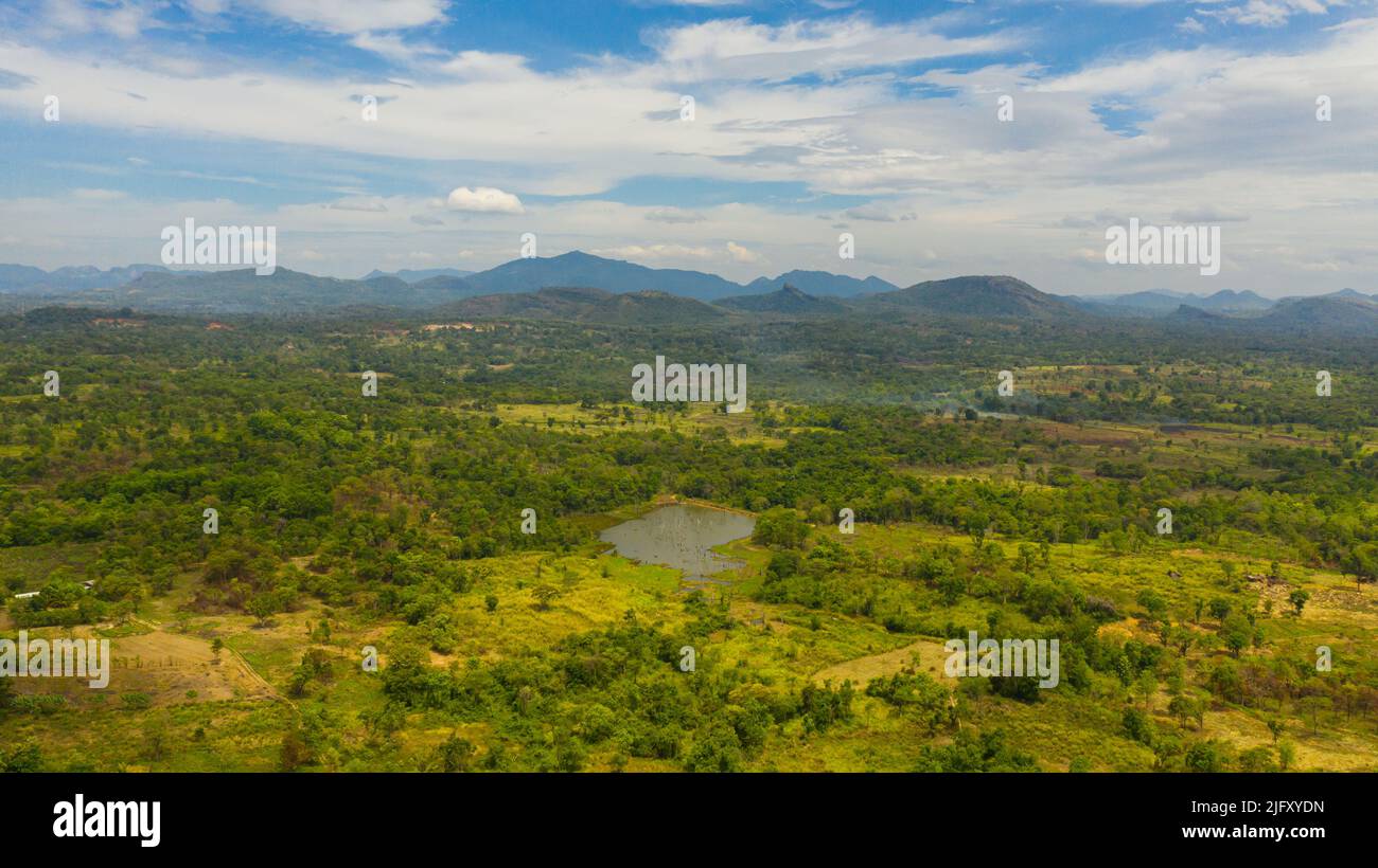 Aerial drone of Valley with agricultural land surrounded by forest. Sri ...
