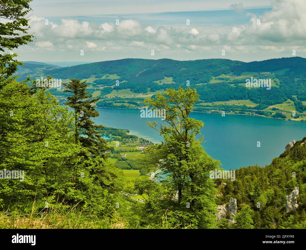 An aerial view of Moon lake surrounded by growing trees in background ...