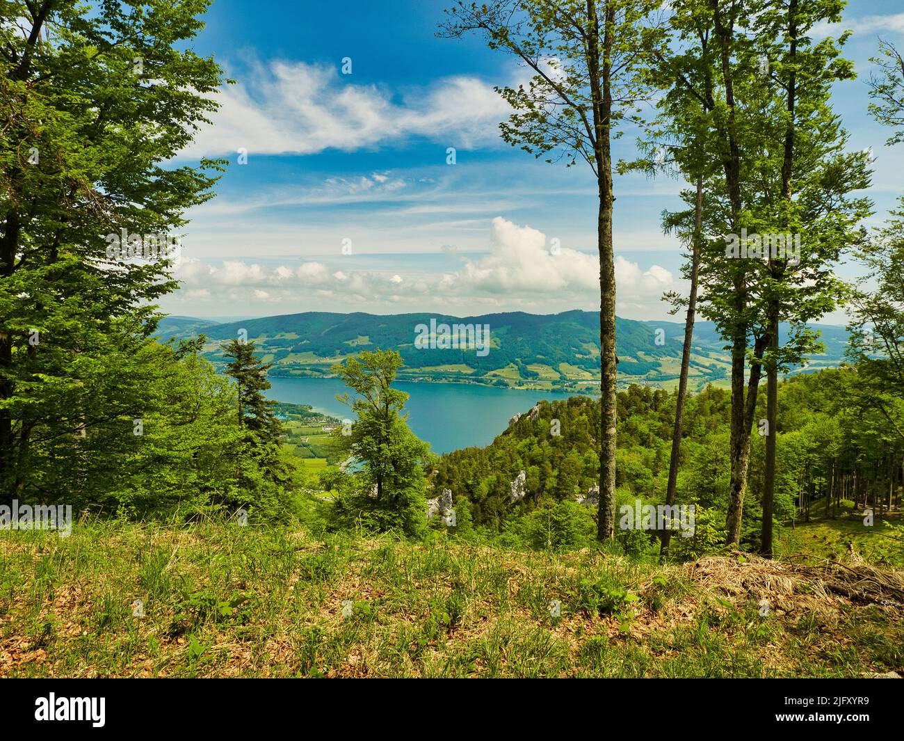 An aerial view of Moon lake surrounded by growing trees in background ...