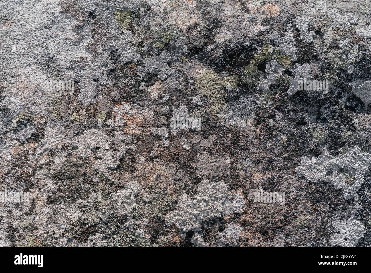 background or texture of mountain stone. Rock. High quality photo Stock ...