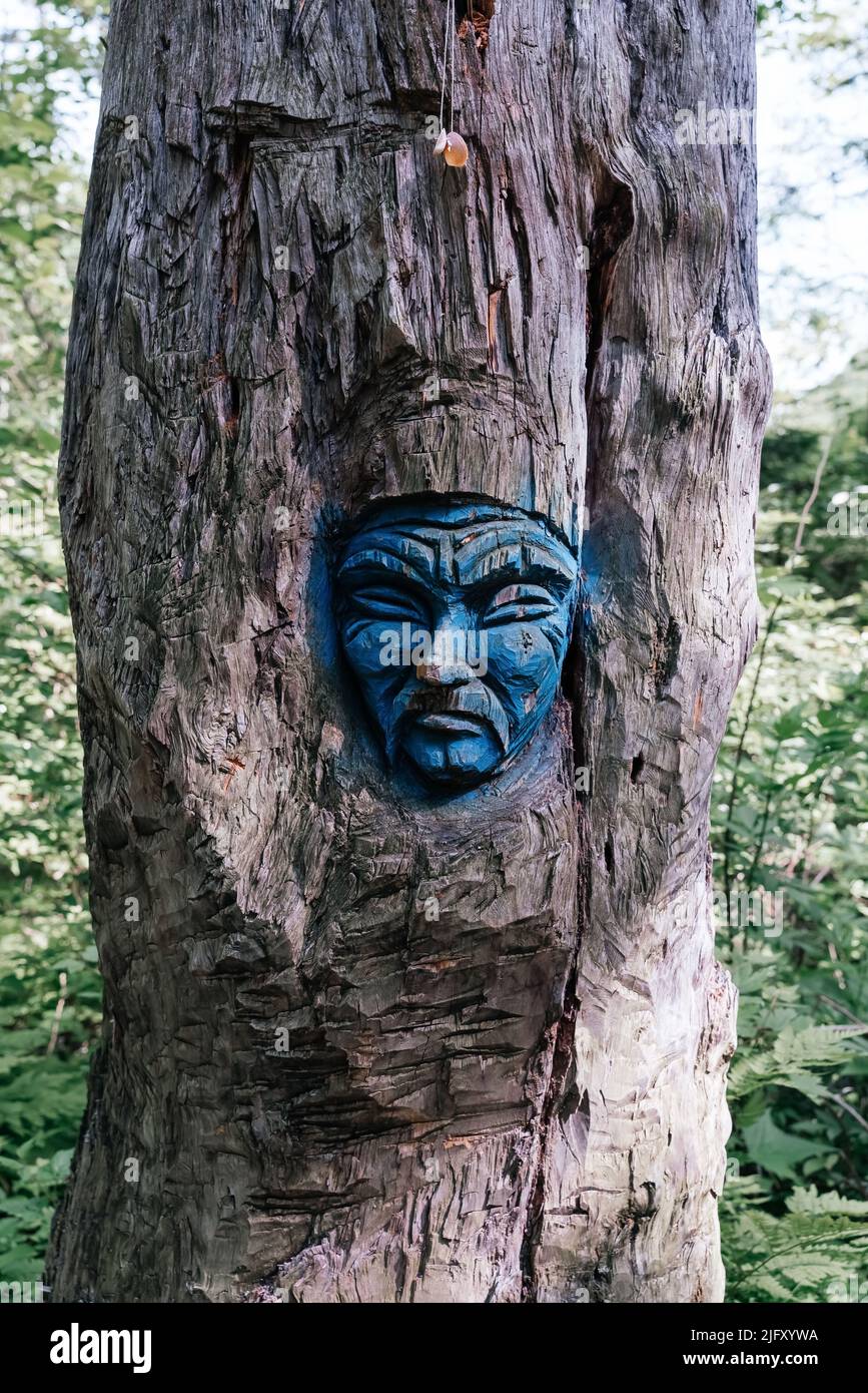 Carved tree face in a tree stump hi-res stock photography and images ...