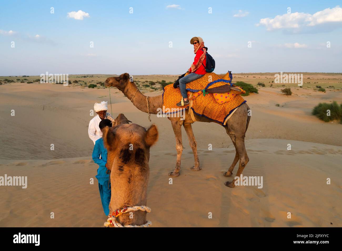 Thar desert animals hi-res stock photography and images - Alamy