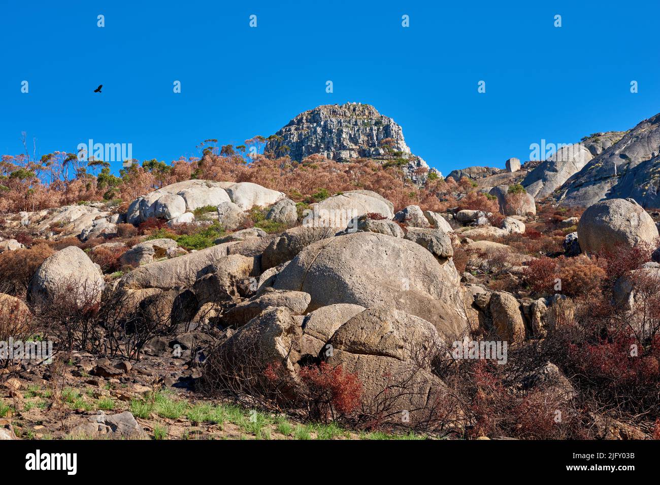 Environmental disaster landscape hi-res stock photography and images ...