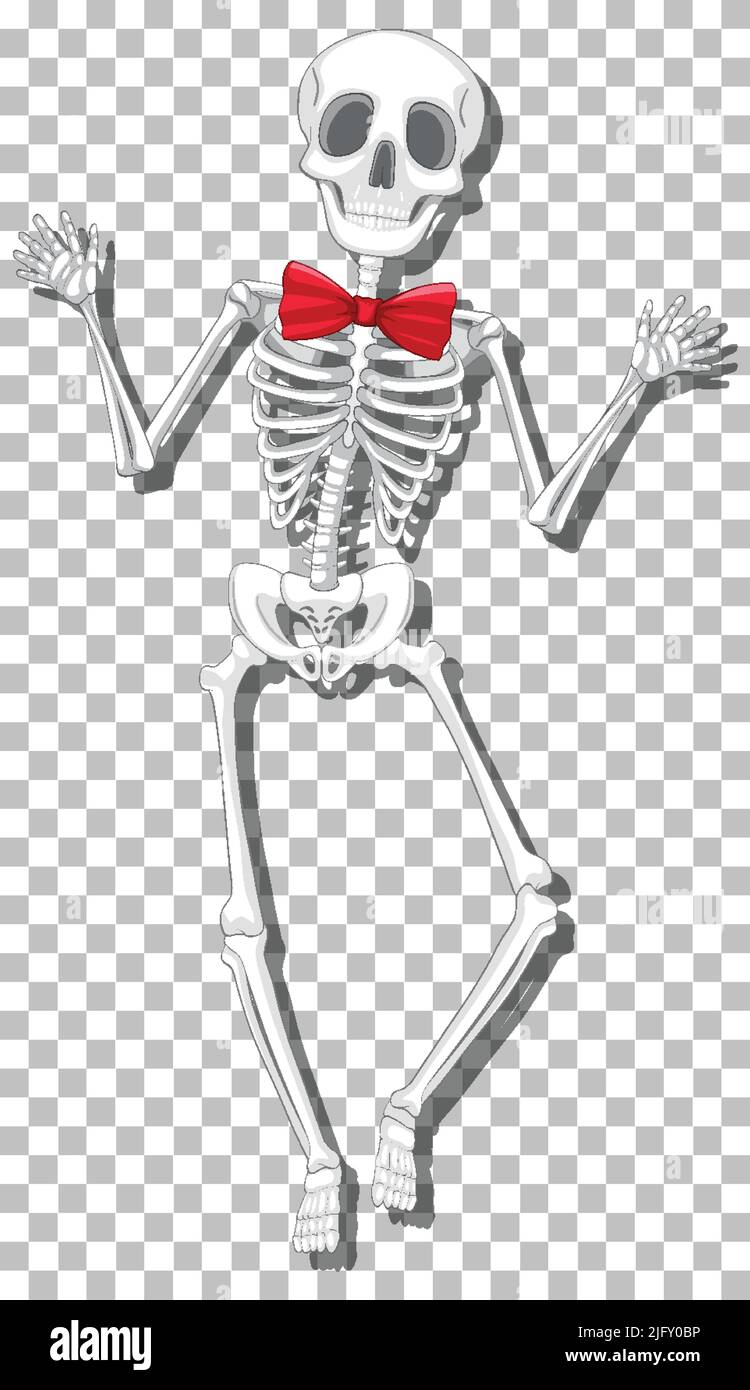 Human skeleton on grid background illustration Stock Vector Image & Art ...