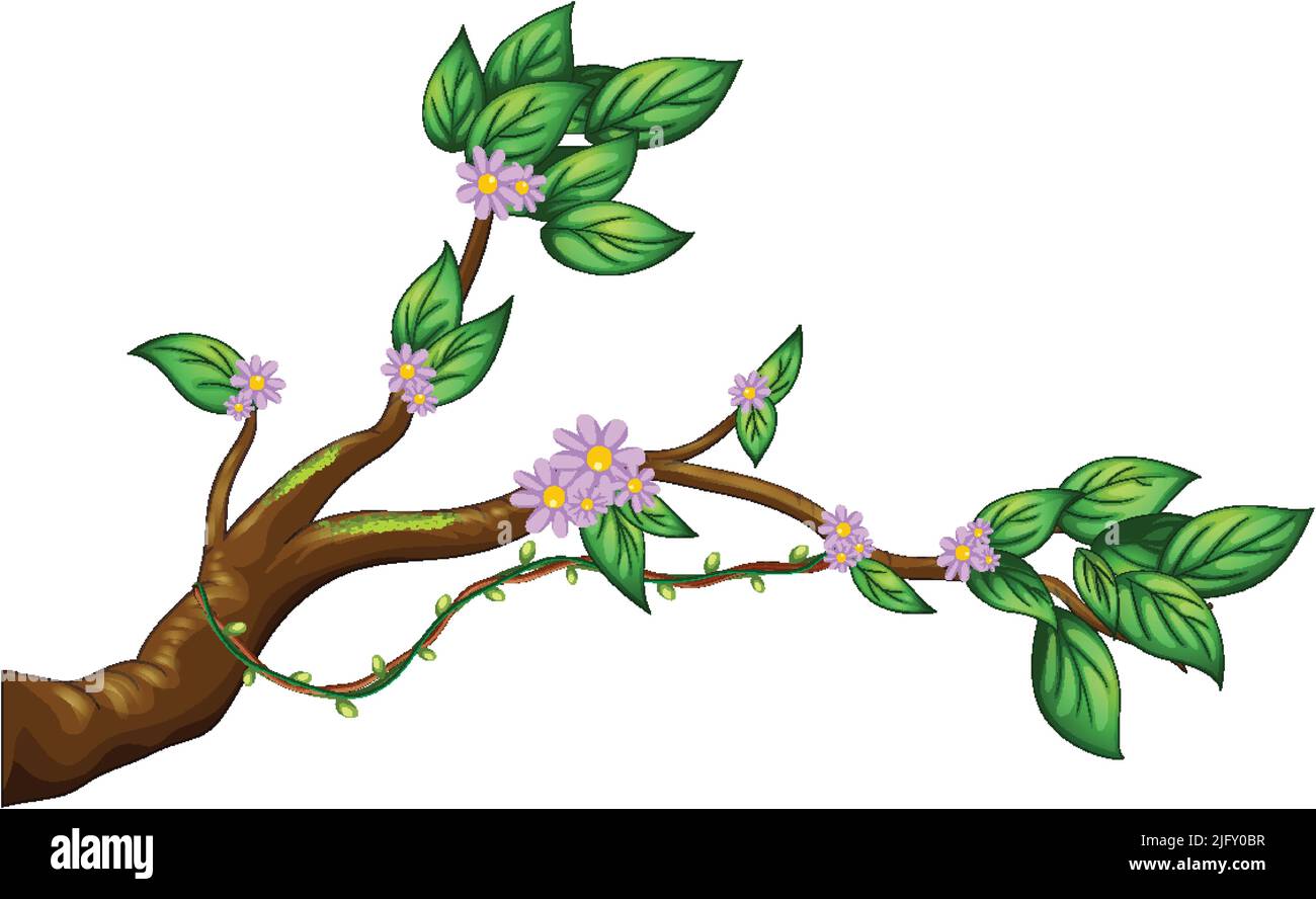 Tree branch isolated on white background illustration Stock Vector ...