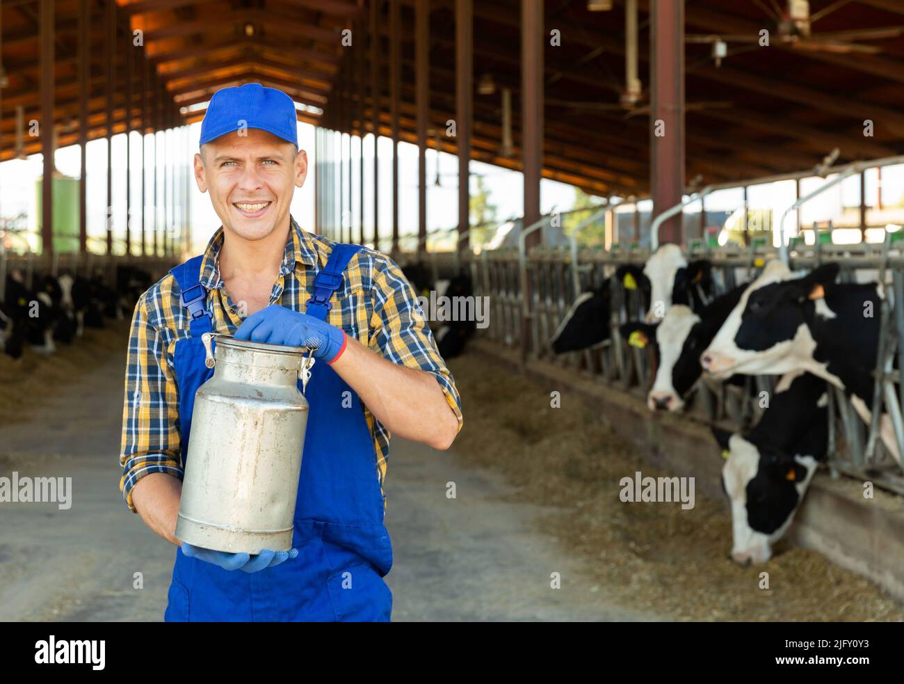 Positive farmer carrying milk can in open stall with cows Stock Photo ...