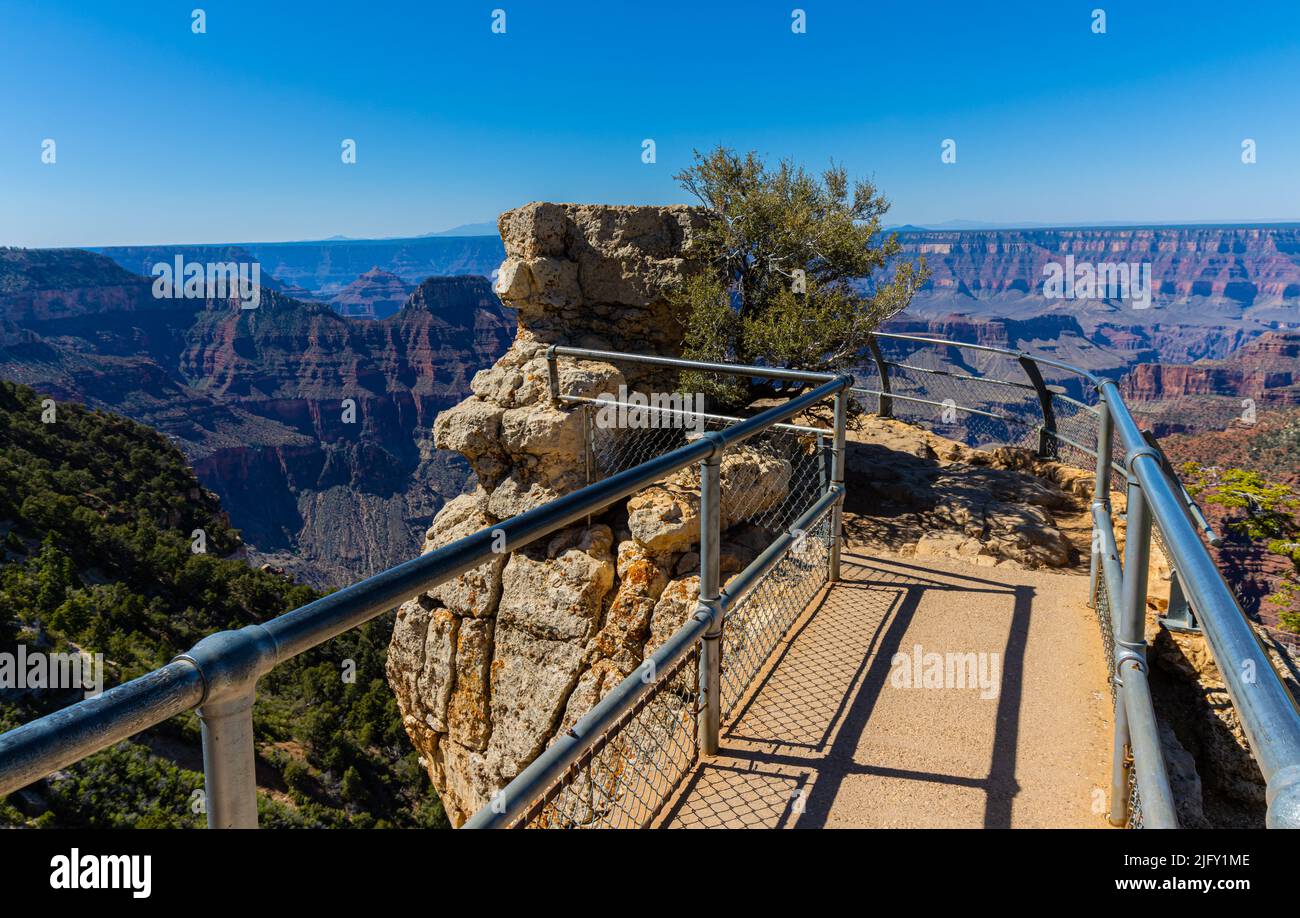 Canyon Overlook on The Bright Angel Point Trail, Grand Canyon National ...