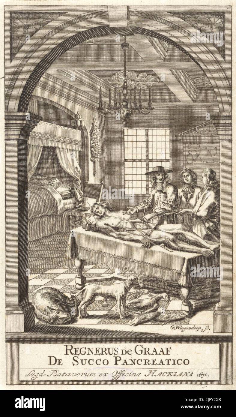 Regnier de Graaf teaching, 17th century illustration Stock Photo - Alamy