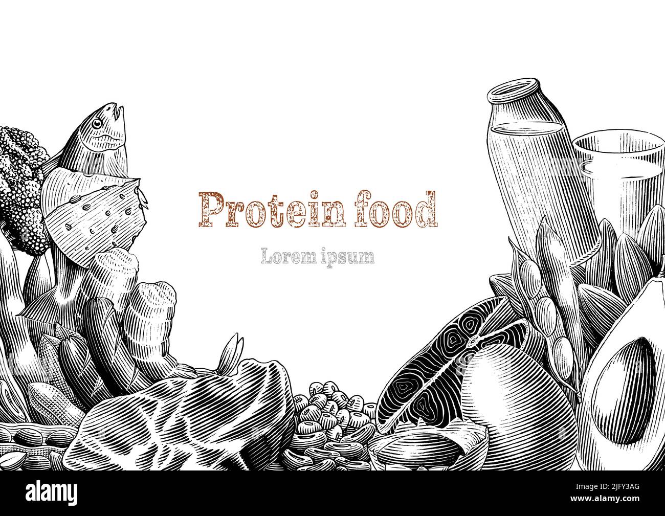 Protein food hand drawing engraving style clip art Stock Vector Image ...
