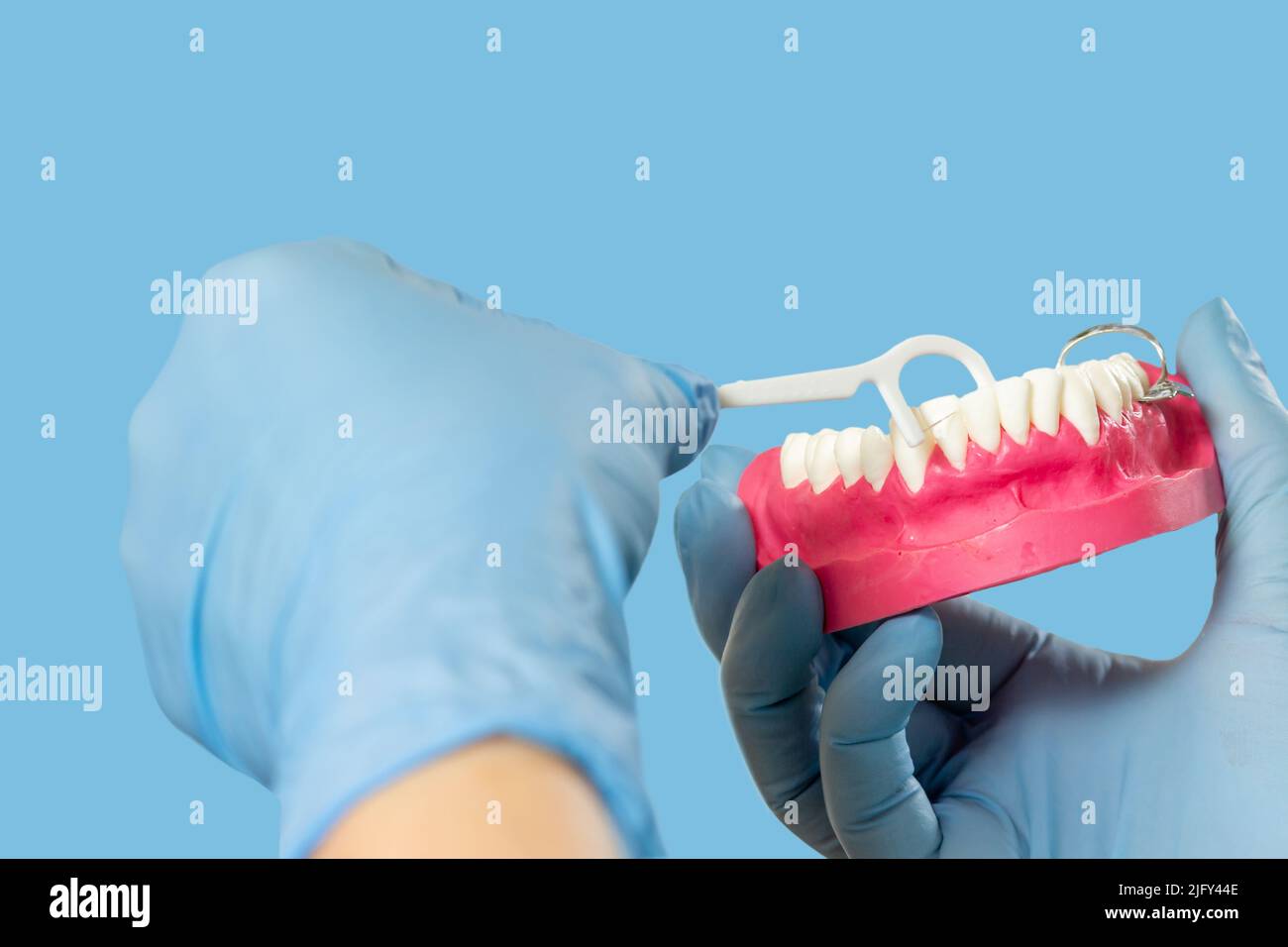 Close-up view of the hands with a human jaw layout and a floss ...