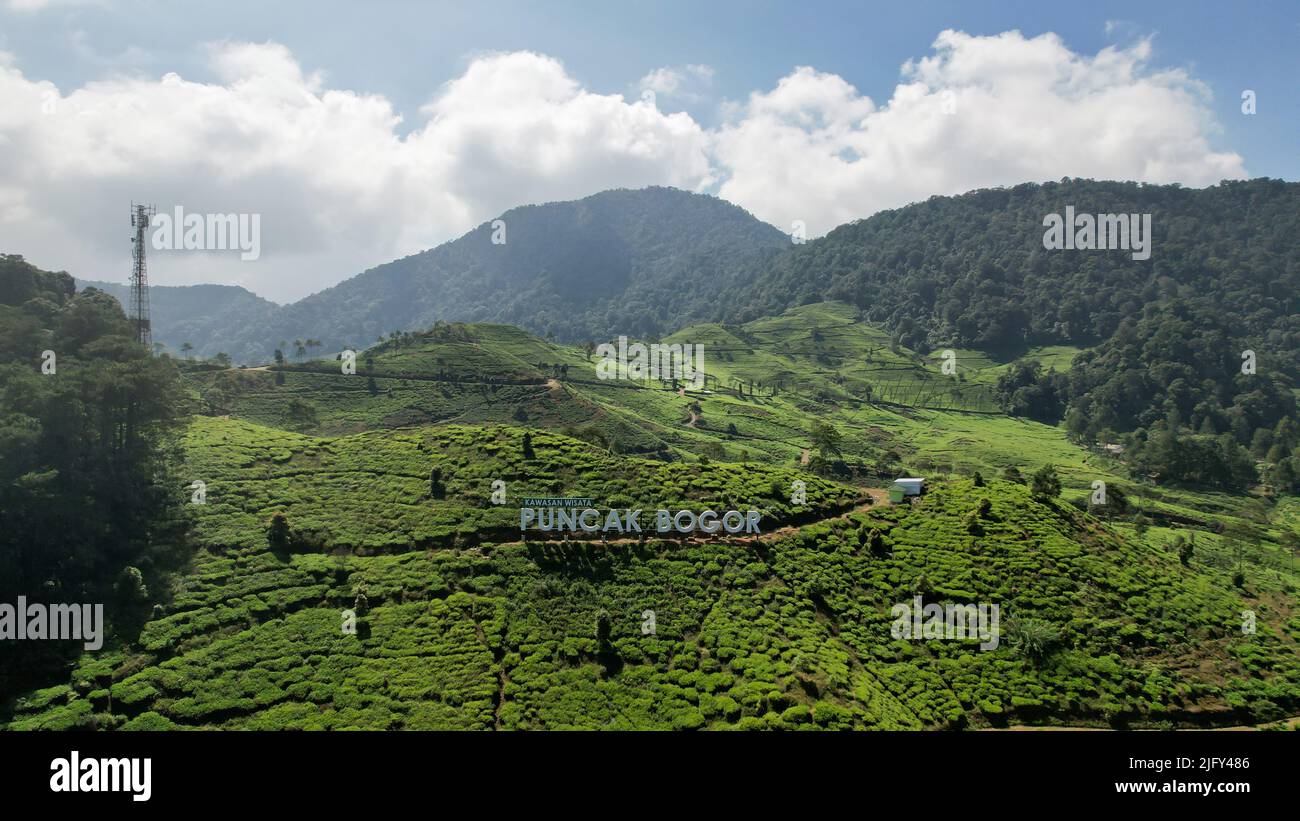 Aerial view of The Beautiful scenery on top of hill Puncak Bogor. Bogor ...