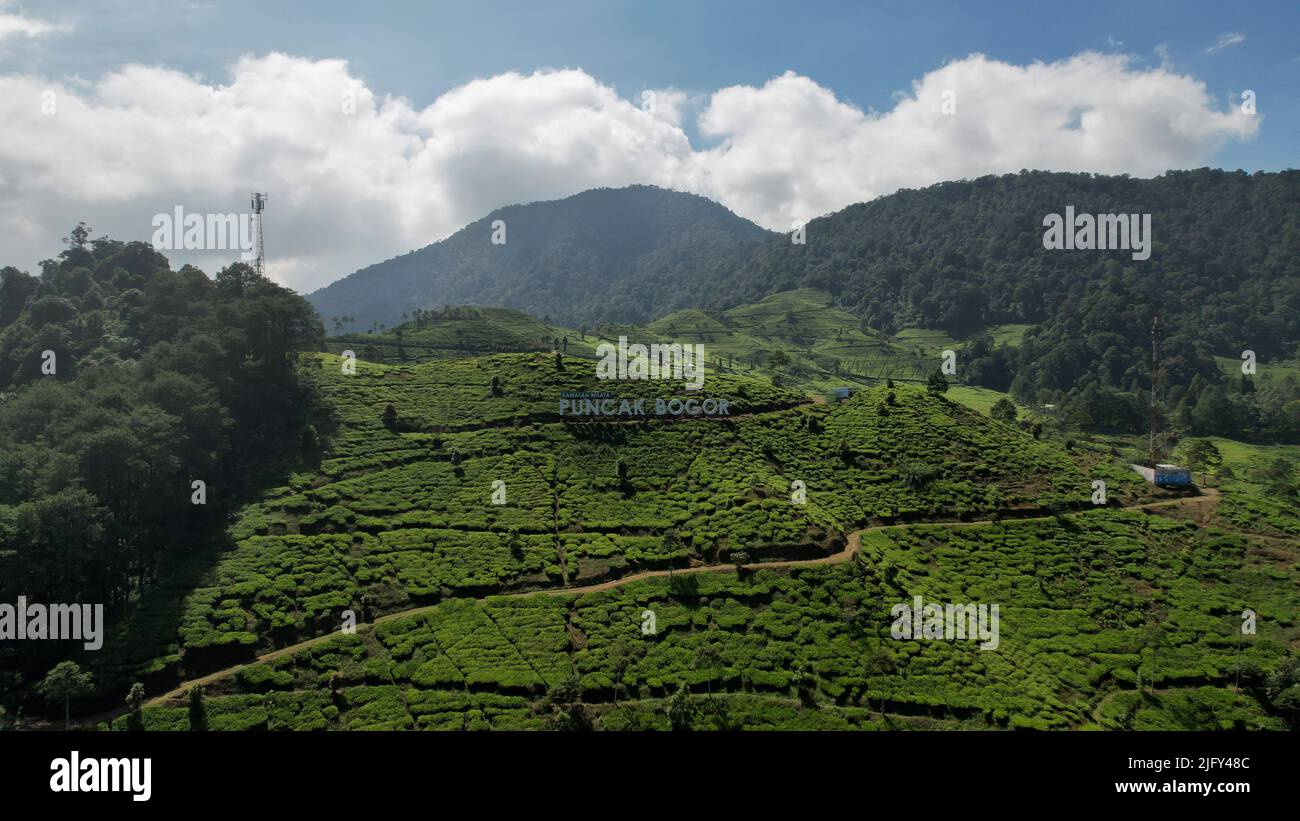 Aerial view of The Beautiful scenery on top of hill Puncak Bogor. Bogor ...