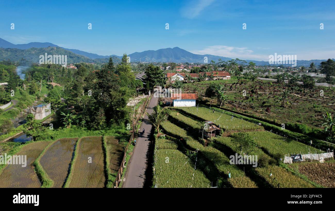 Aerial view of The Taman Bunga Nusantara or Flower Garden Nusantara, a ...