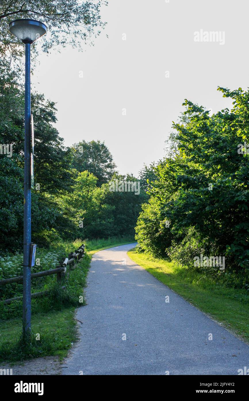 View of empty pathway in forest in Itzehoe, Germany with plants, trees ...