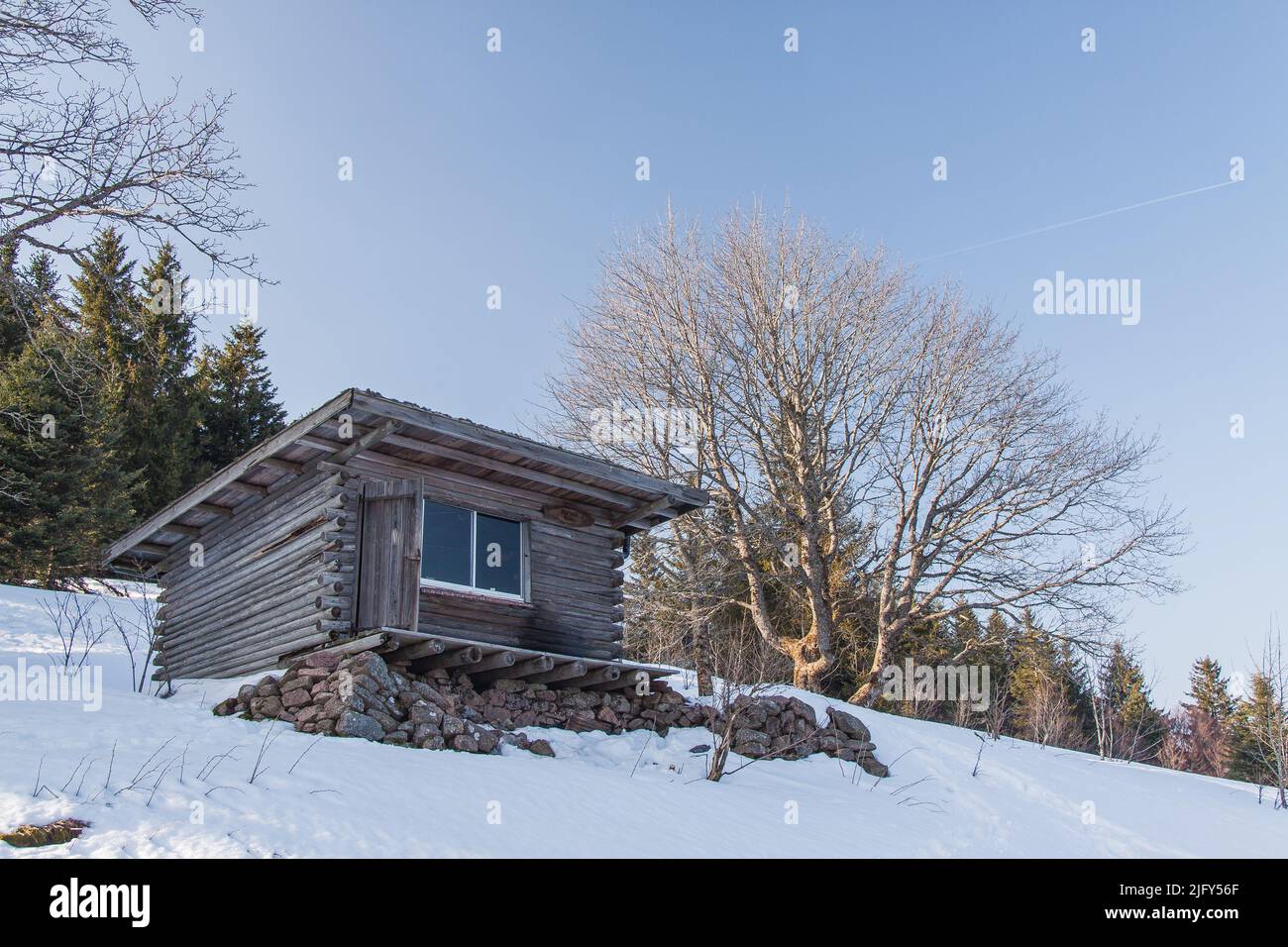 Log cabin shelter in the wild mountains during winter in Vosges, France ...