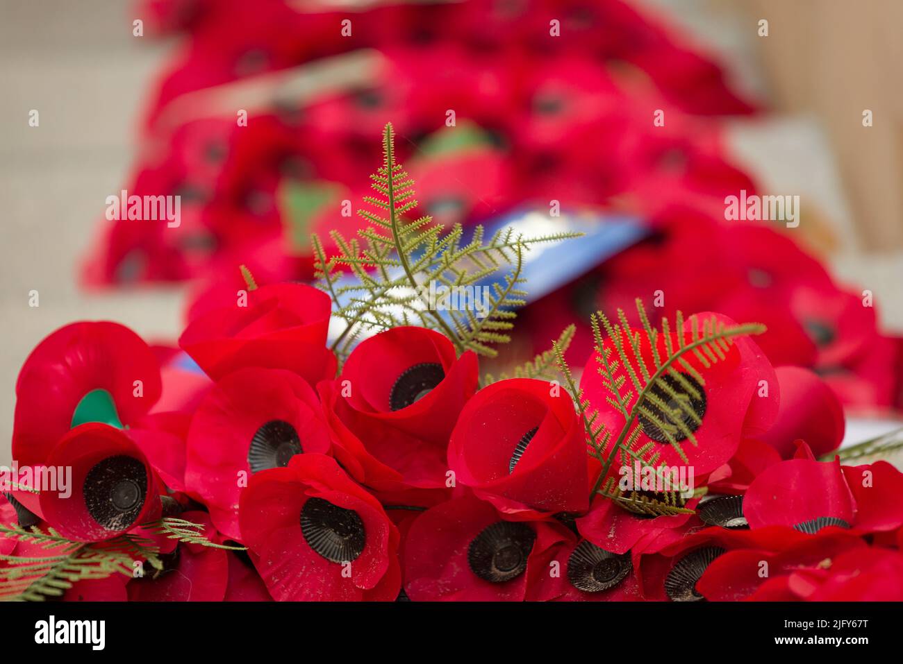 Flanders poppy wreath hi-res stock photography and images - Alamy