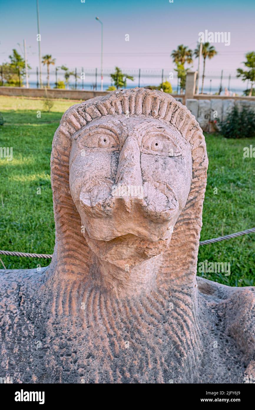 Funny and hilarious emotional face of antique greek lion sculpture ...