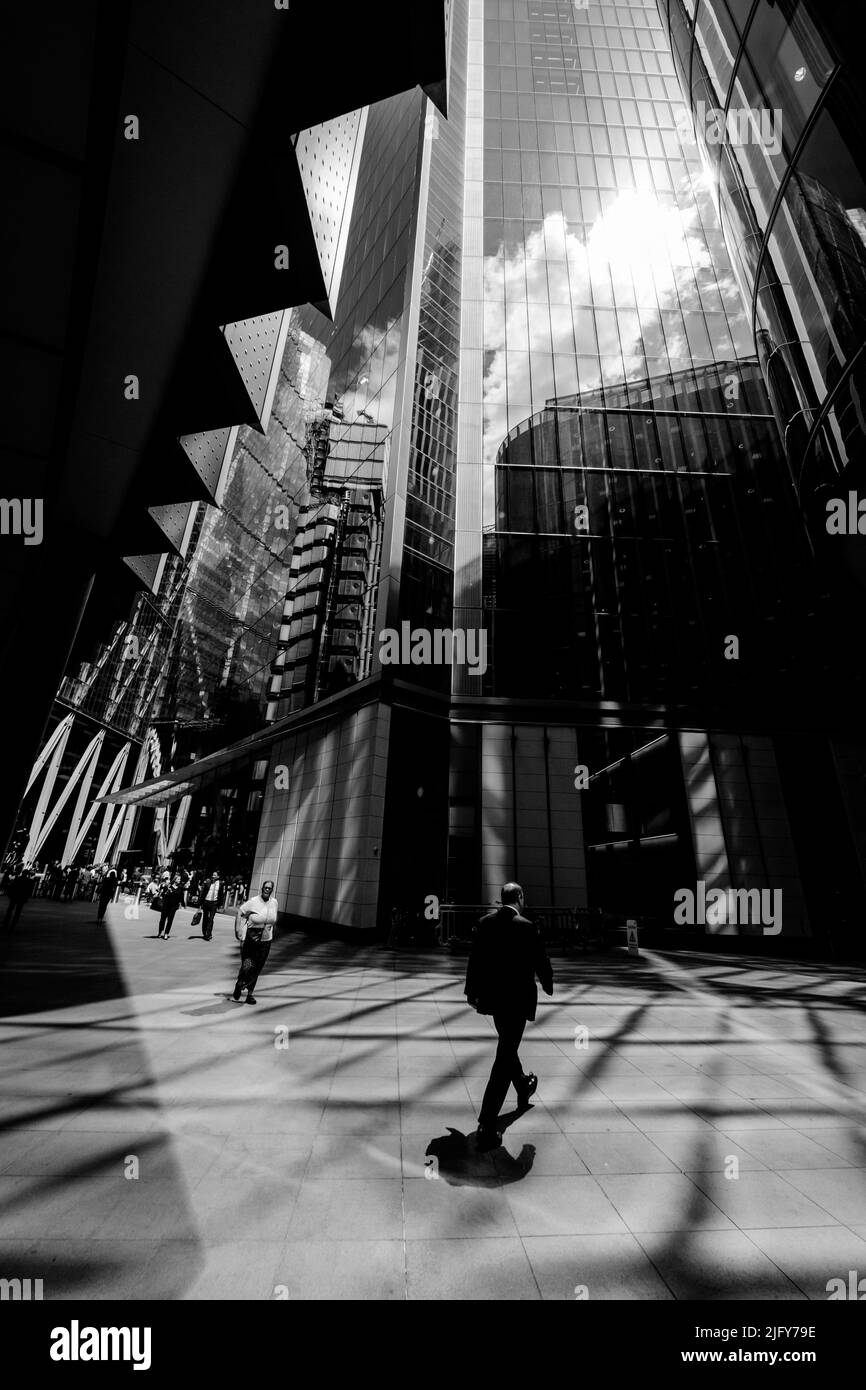 Ants view Black and White Stock Photos & Images - Alamy